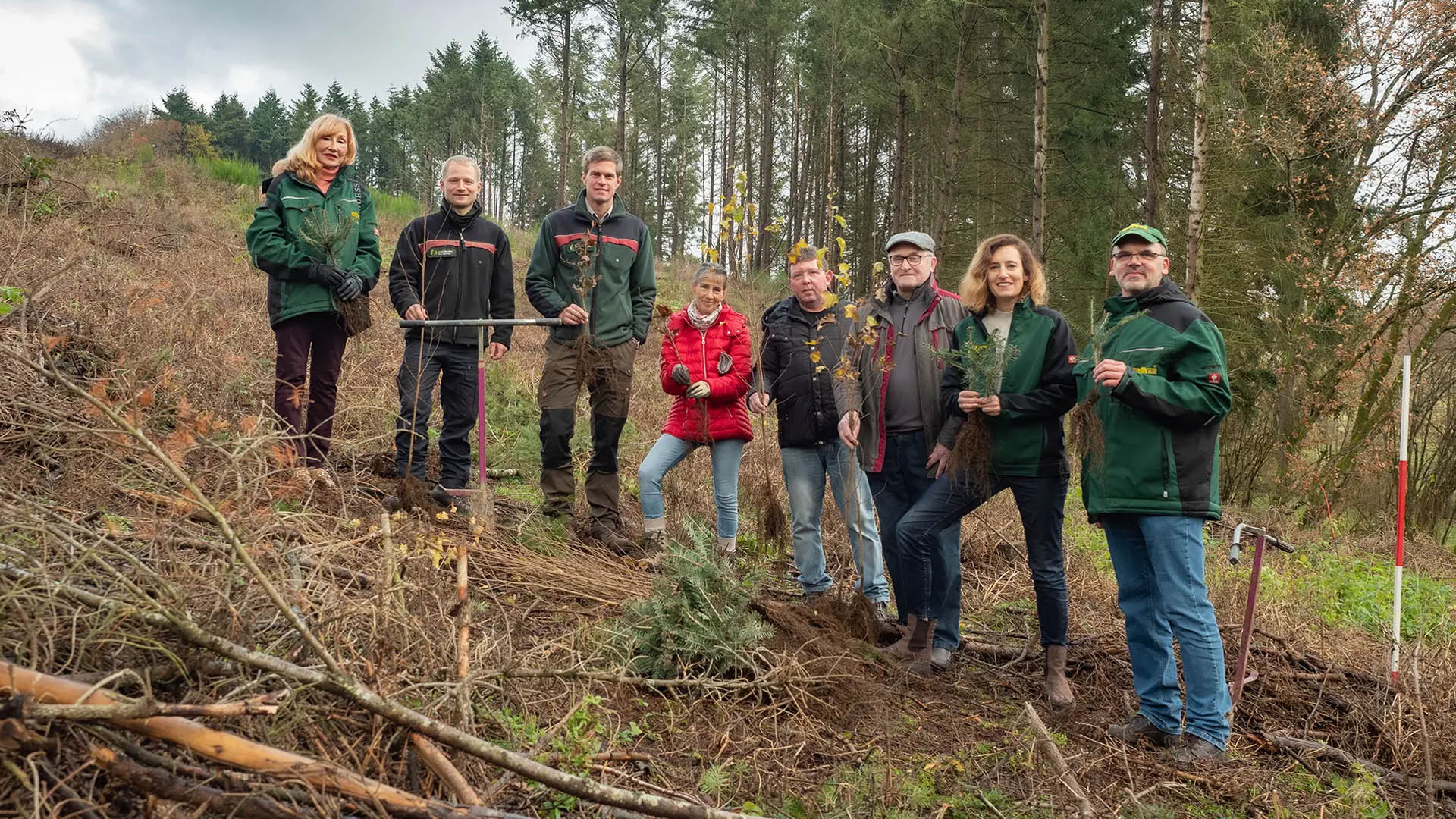 elka tree planting campaign 2023